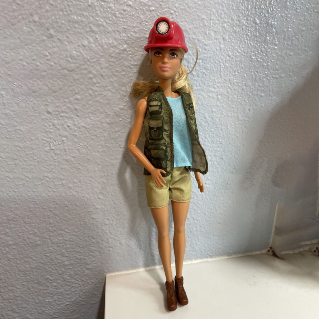 Barbie Doll The Career Collection Paleontologist – Toyworld
